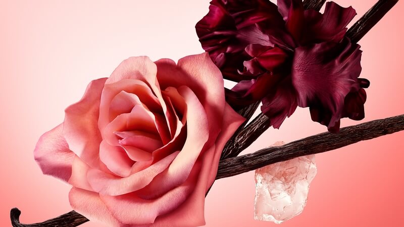 Exclusif Magazine : all of me eau de parfum intense